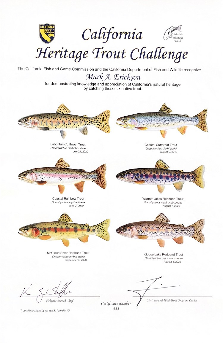 California Heritage Trout Challenge - reflections and certificate | Fishing with Fiberglass Fly ...
